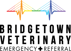 Bridgetown Veterinary Emergency and Referral - Your Portland Animal ...